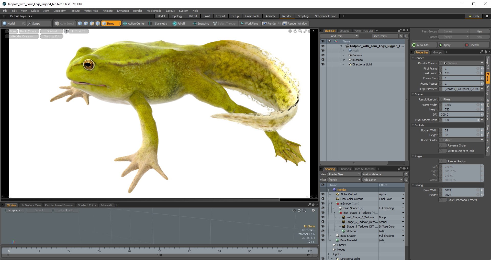 Tadpole With Four Legs Rigged For Modo 3D Model - TurboSquid 1727440