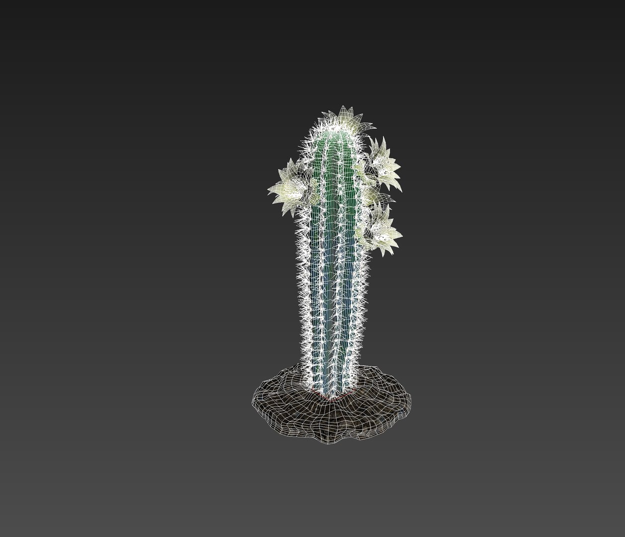 Cactus Pbr 3D Model - TurboSquid 1376781