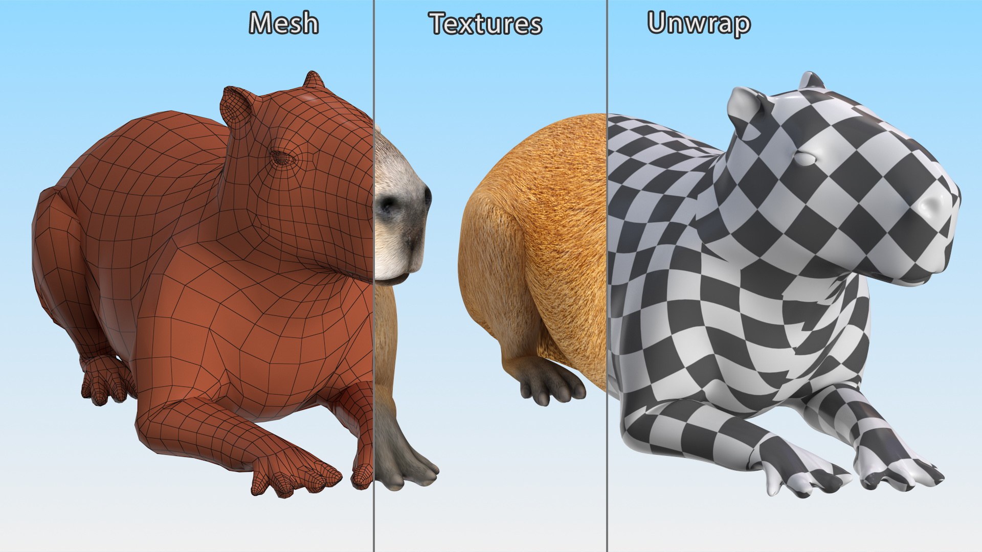 Capybara Lying Pose model - TurboSquid 1943515