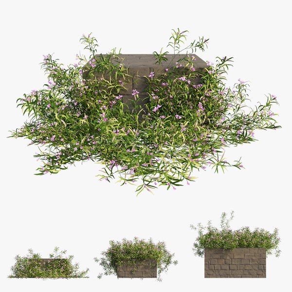 SketchUp Grass Models | TurboSquid