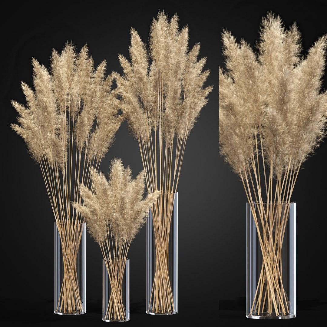 3D Model Decorative Pampas - TurboSquid 1860366