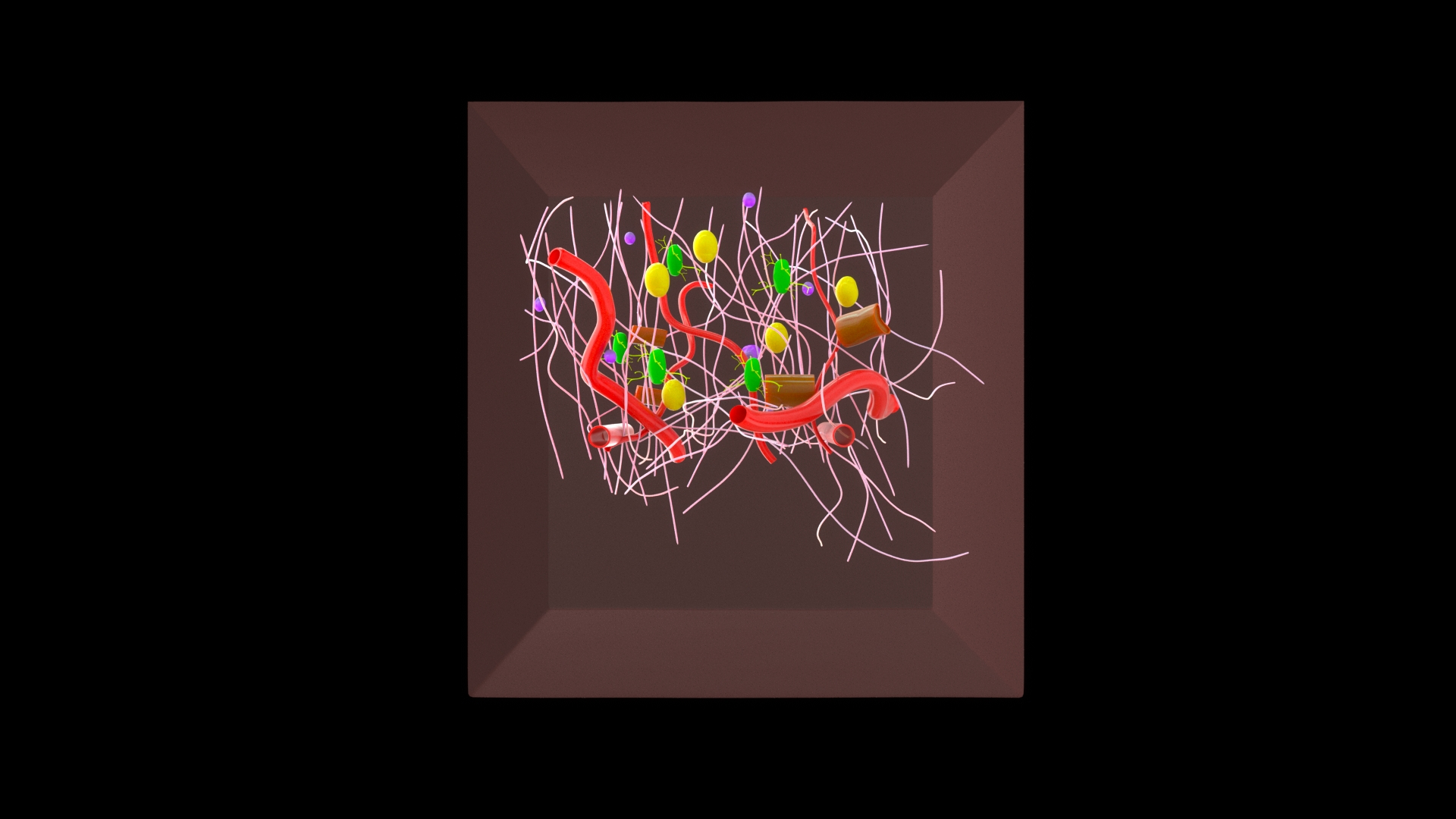 3D Dense Connective Tissue Model - TurboSquid 2191620