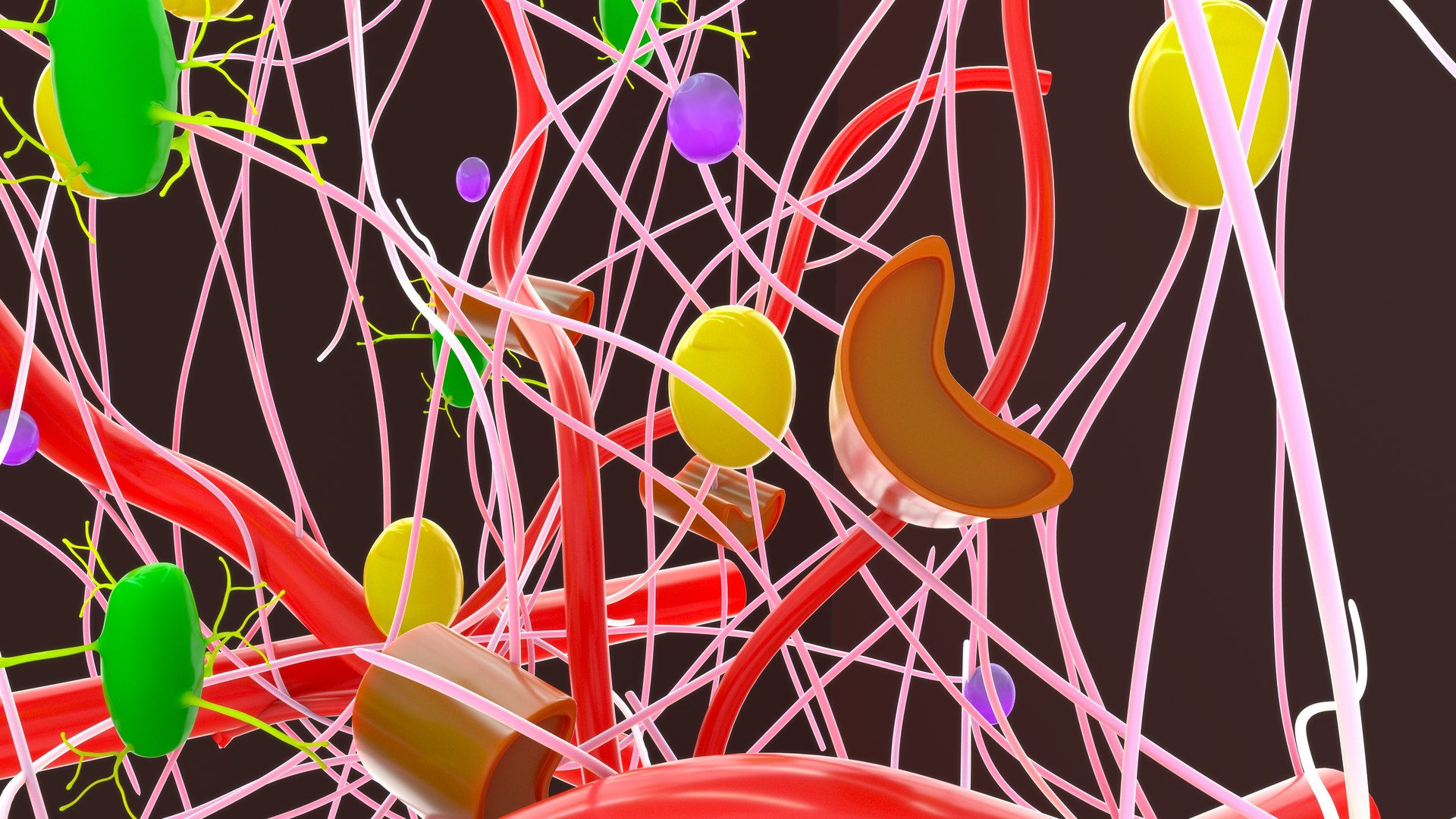 3D Dense Connective Tissue Model - TurboSquid 2191620