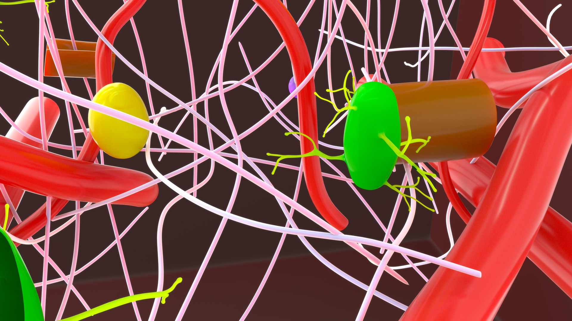 3D Dense Connective Tissue Model - TurboSquid 2191620