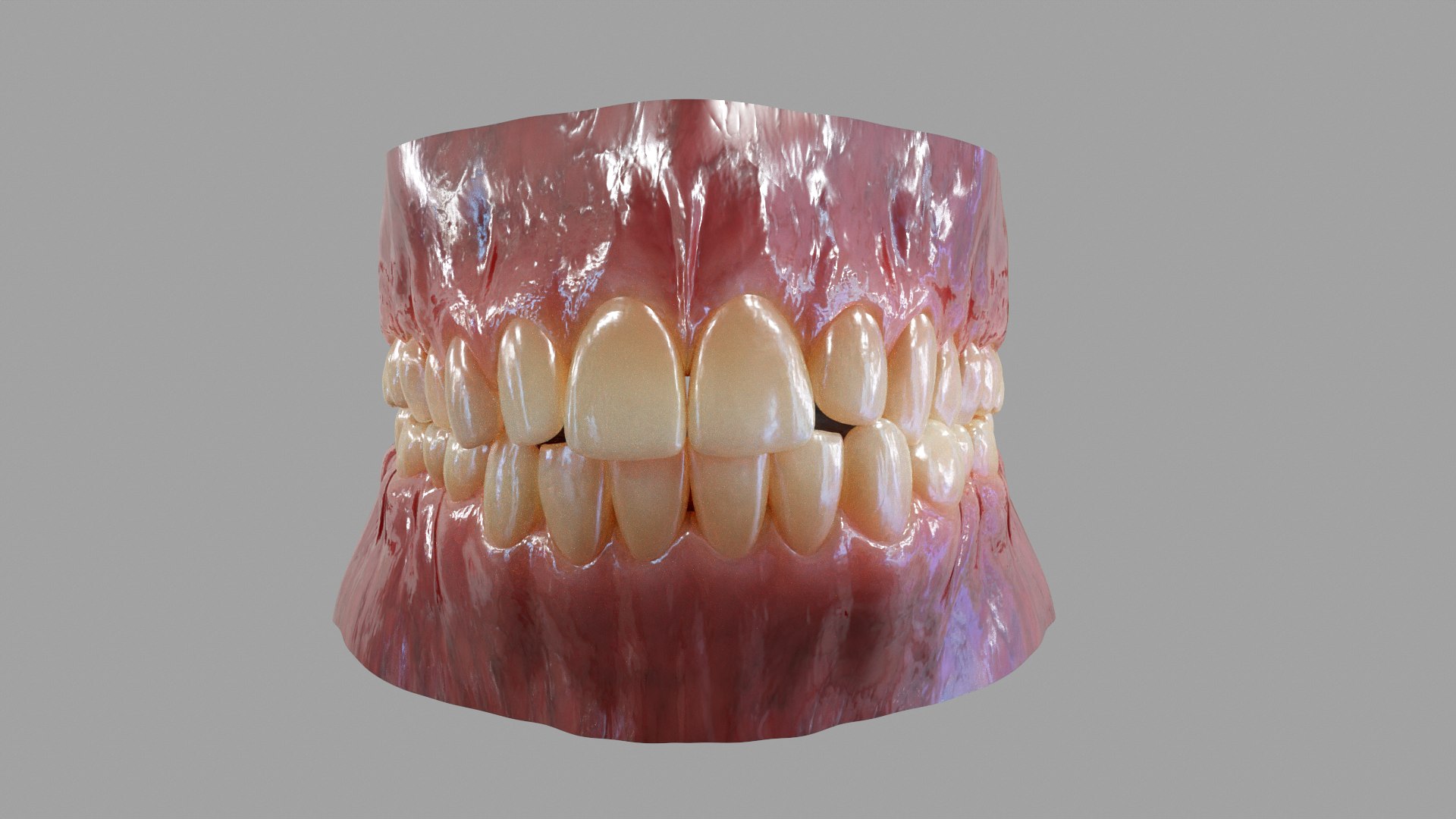 Gums Teeth 3D Model - TurboSquid 1712002
