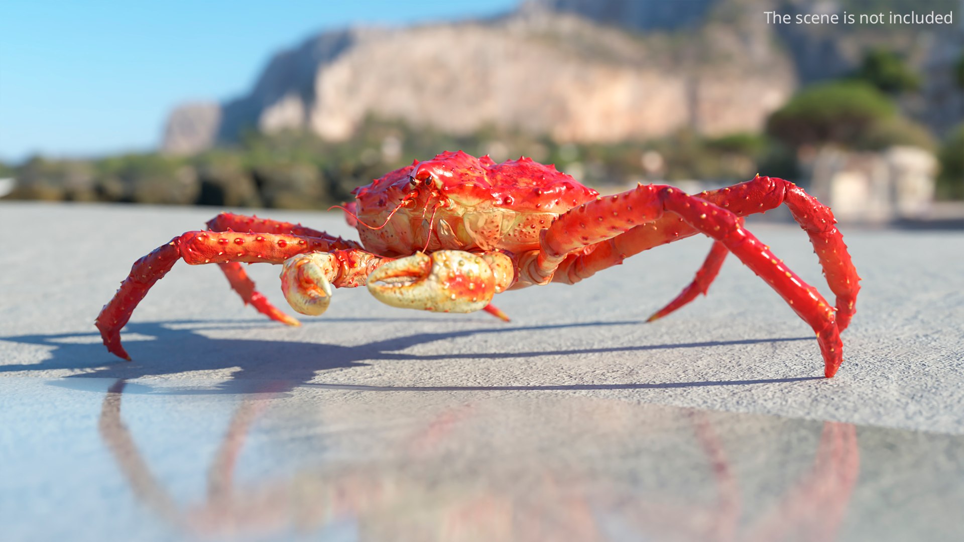 Red King Crab Idle Animated Rigged For Blender 3D Model - TurboSquid ...