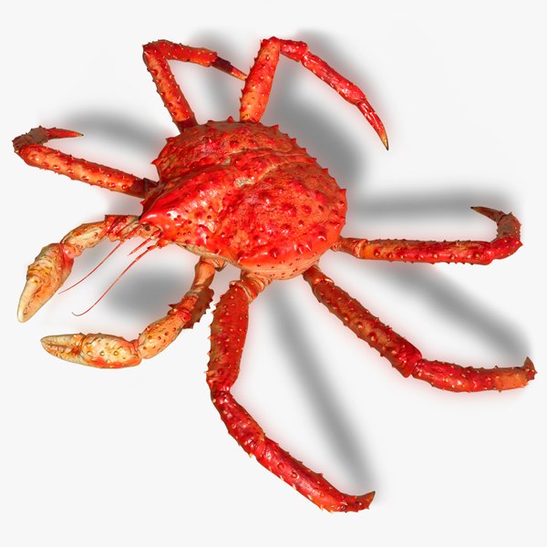 modèle 3D de Crabe royal rouge immobile, animé et riggé pour Blender ...