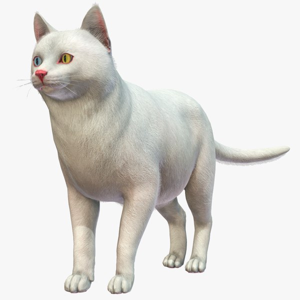 modelo 3d Cats - Fat - TurboSquid 2037131