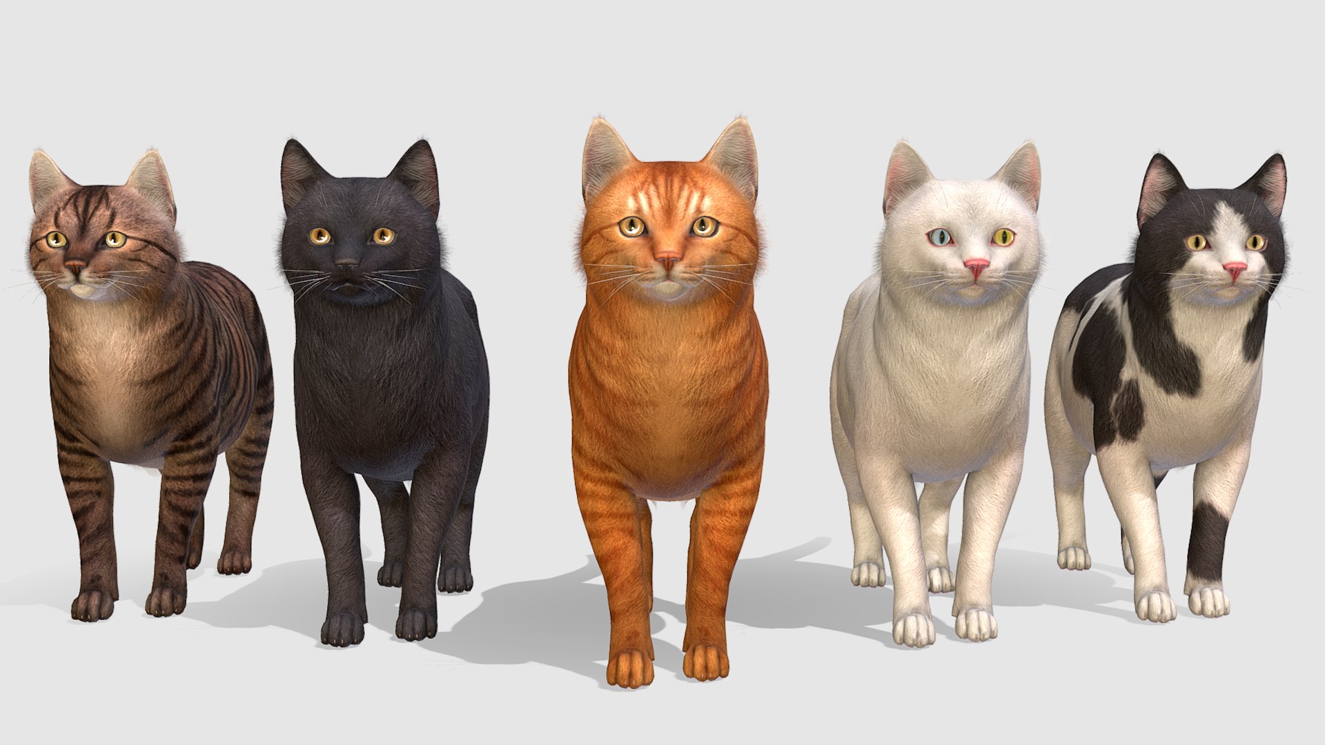 3D Model Cats - Fat - TurboSquid 2037131
