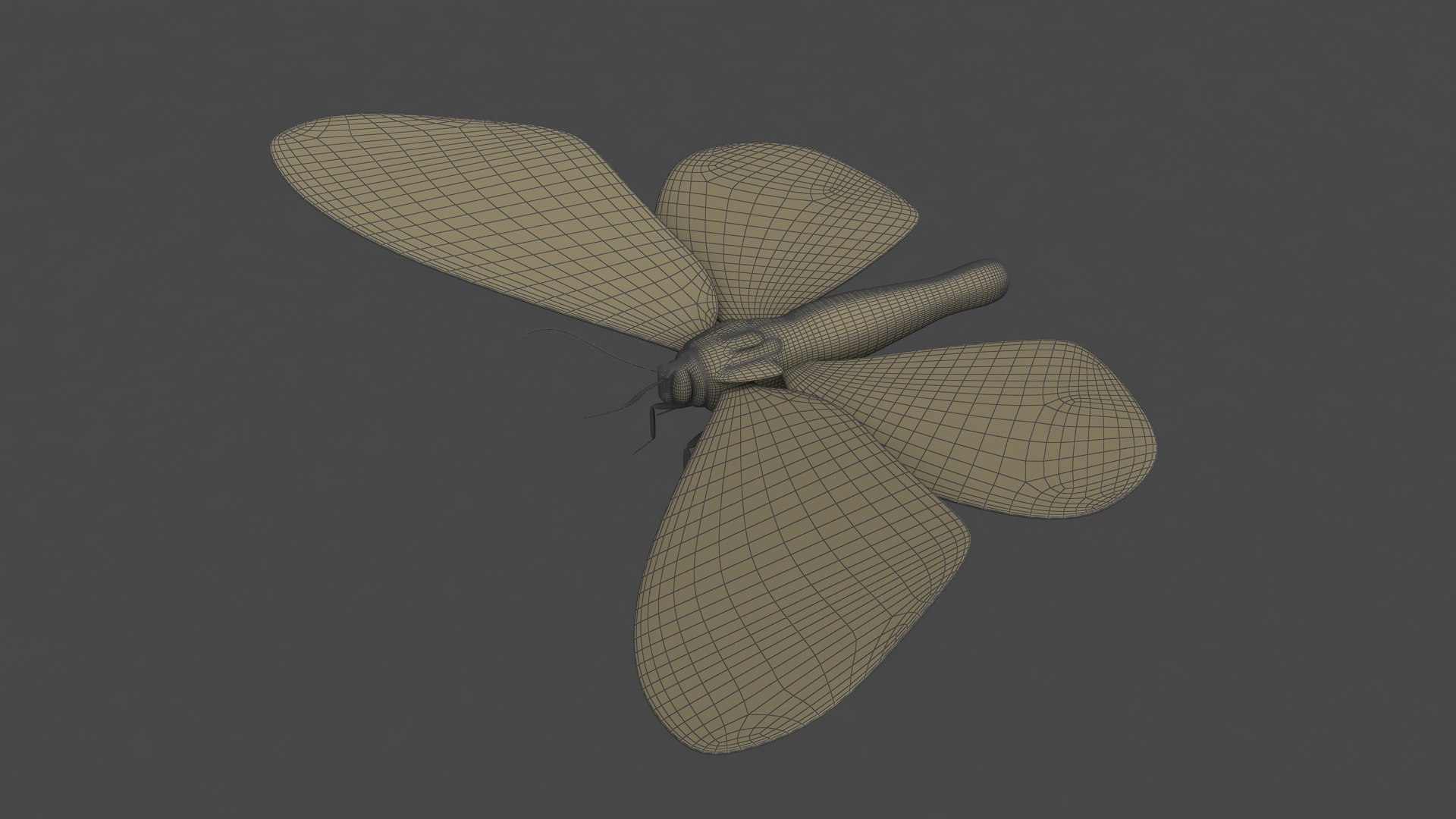 3D Owl Moth Model - TurboSquid 2012517