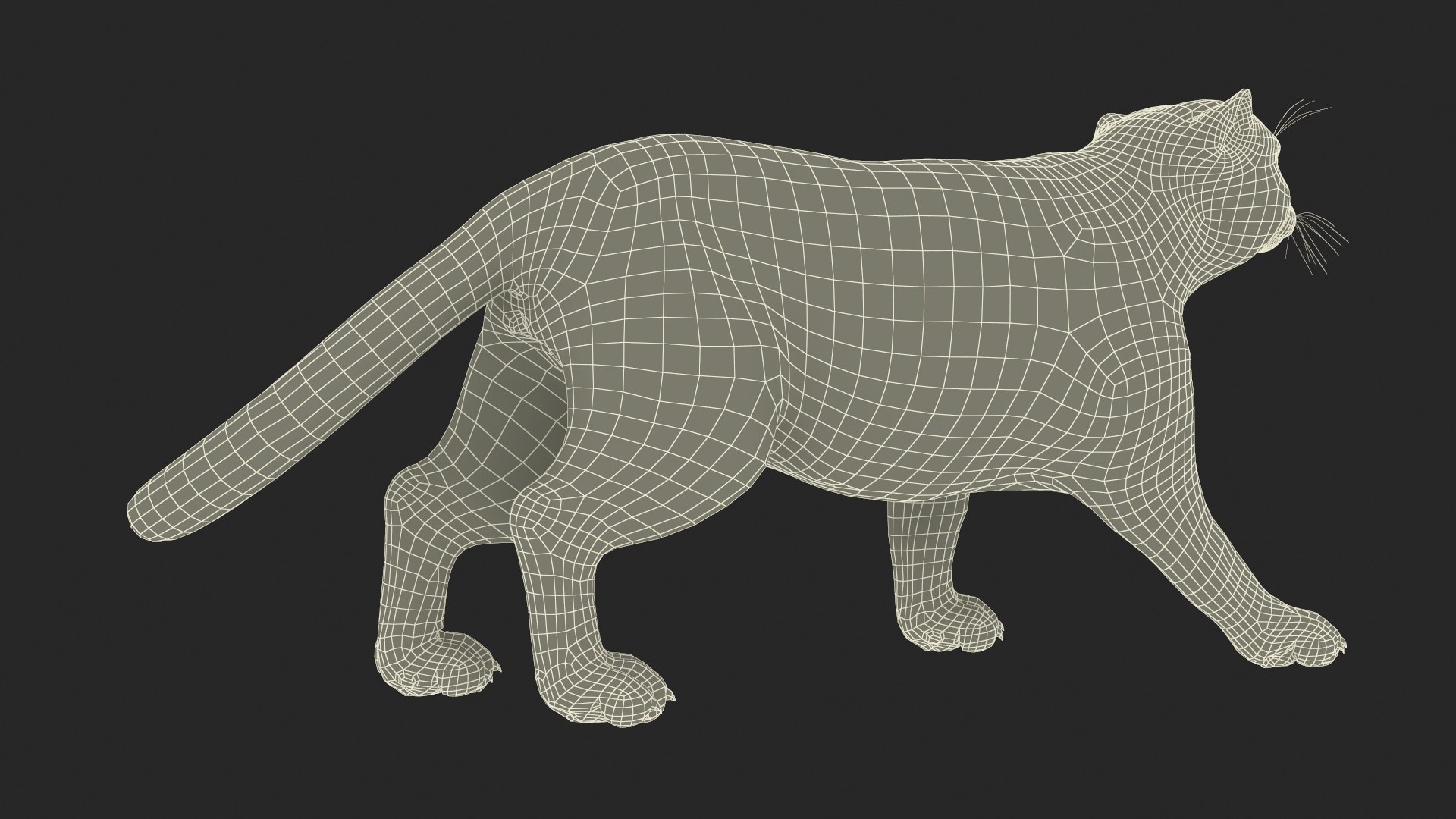 3D Manul Cat Is Walking Fur Model - TurboSquid 2193093