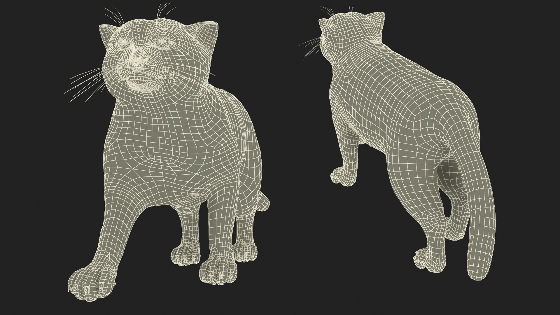 3D Manul Cat Is Walking Fur Model - TurboSquid 2193093