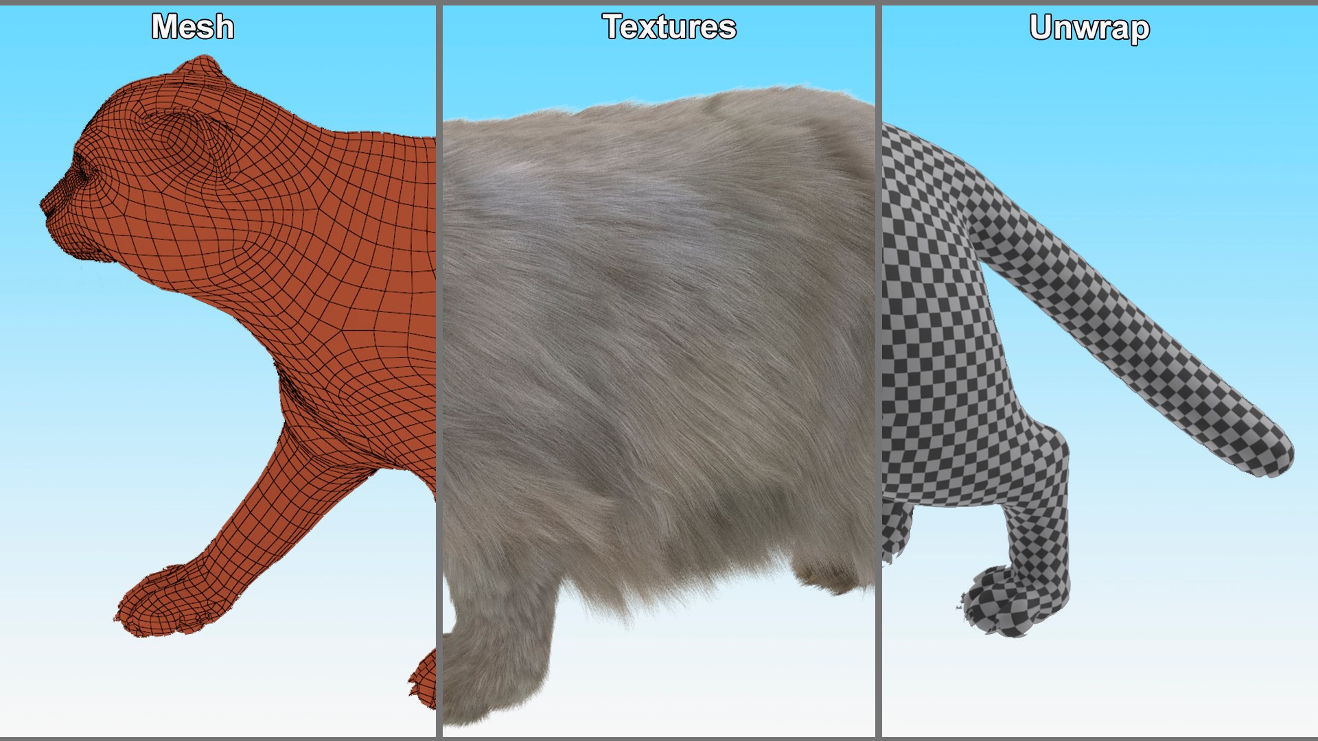 3D Manul Cat Is Walking Fur Model - TurboSquid 2193093