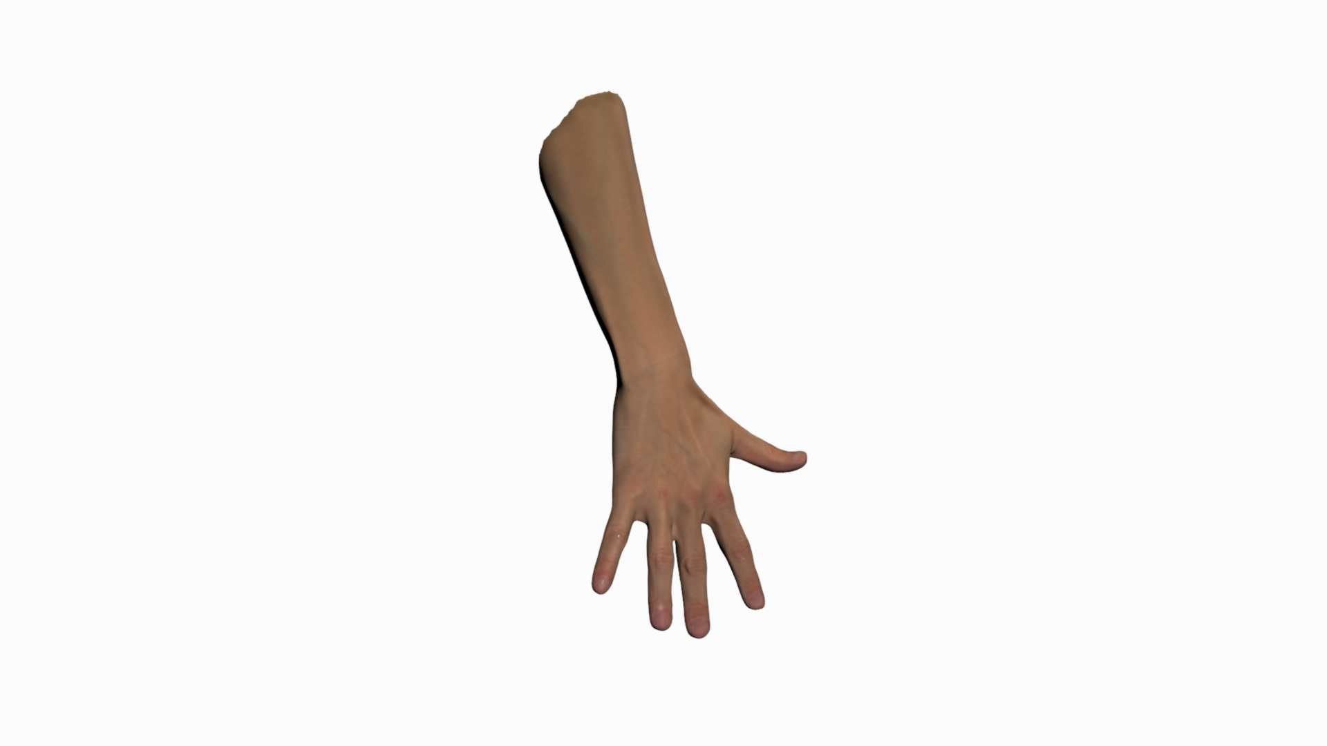 3D Human Hand 3D Scan High Quality Model - TurboSquid 1784067