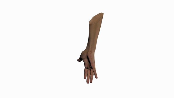 3D Human Hand 3D Scan High Quality model - TurboSquid 1784067
