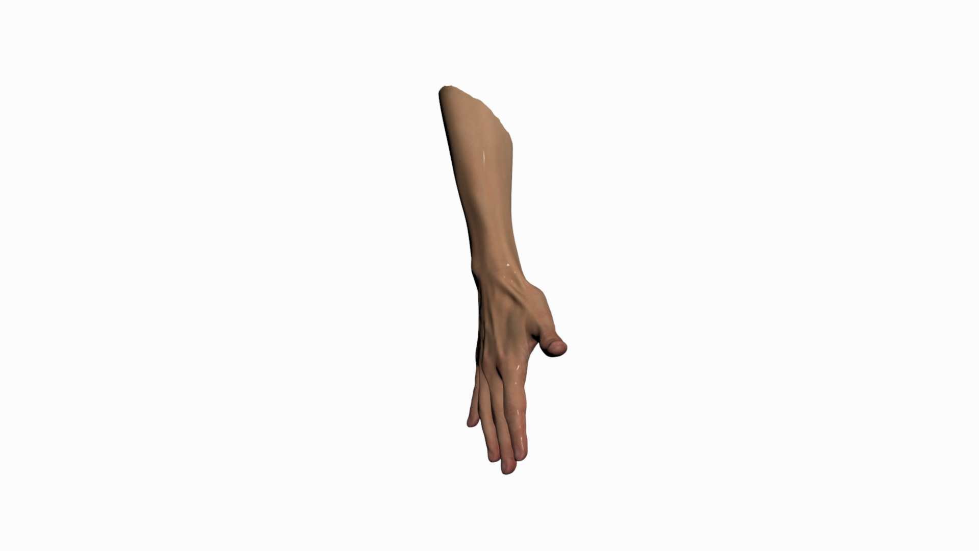 3D Human Hand 3D Scan High Quality Model - TurboSquid 1784067