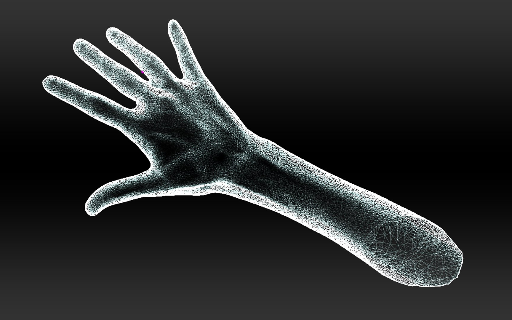3D Human Hand 3D Scan High Quality Model - TurboSquid 1784067