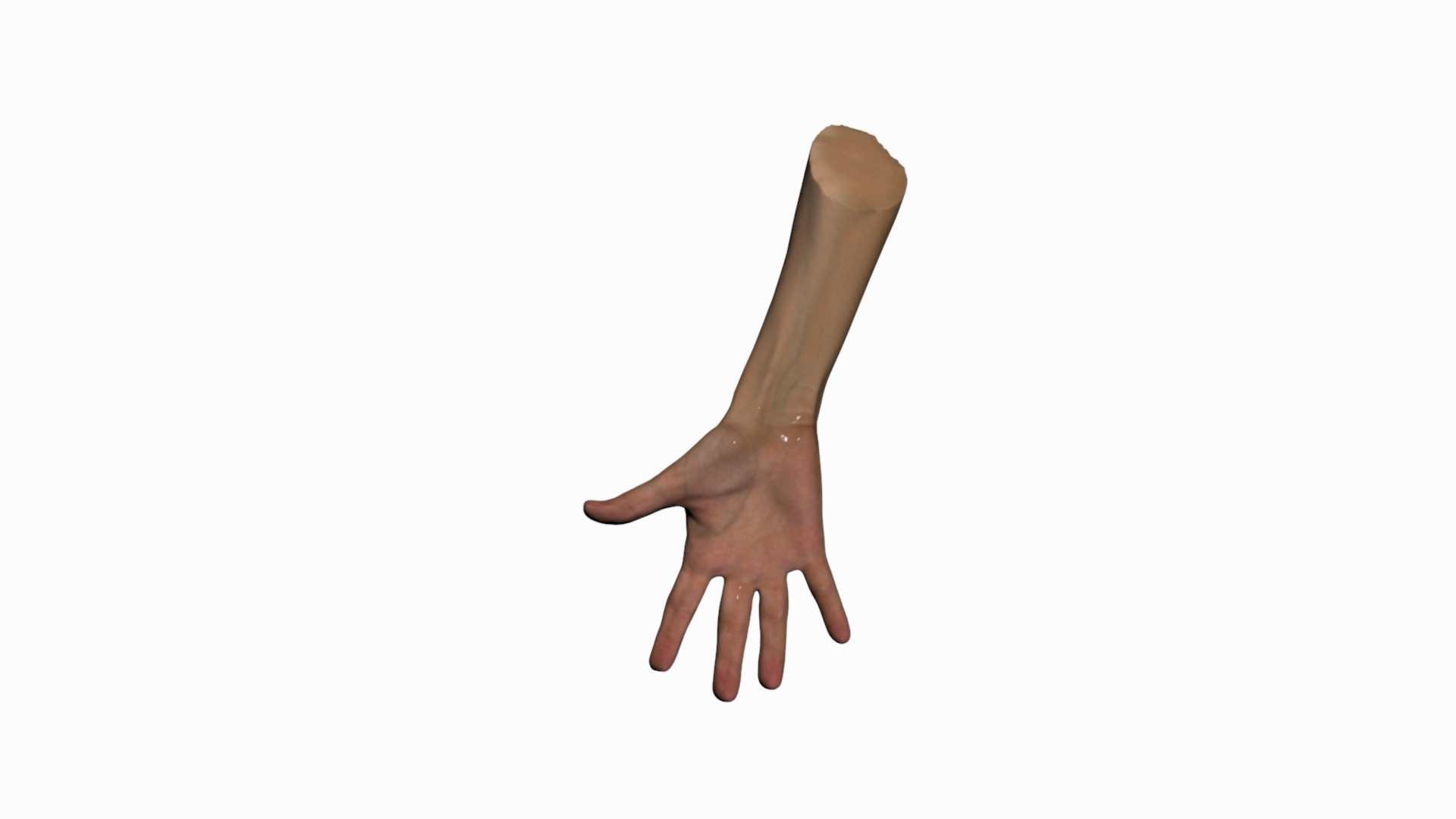 3D Human Hand 3D Scan High Quality Model - TurboSquid 1784067
