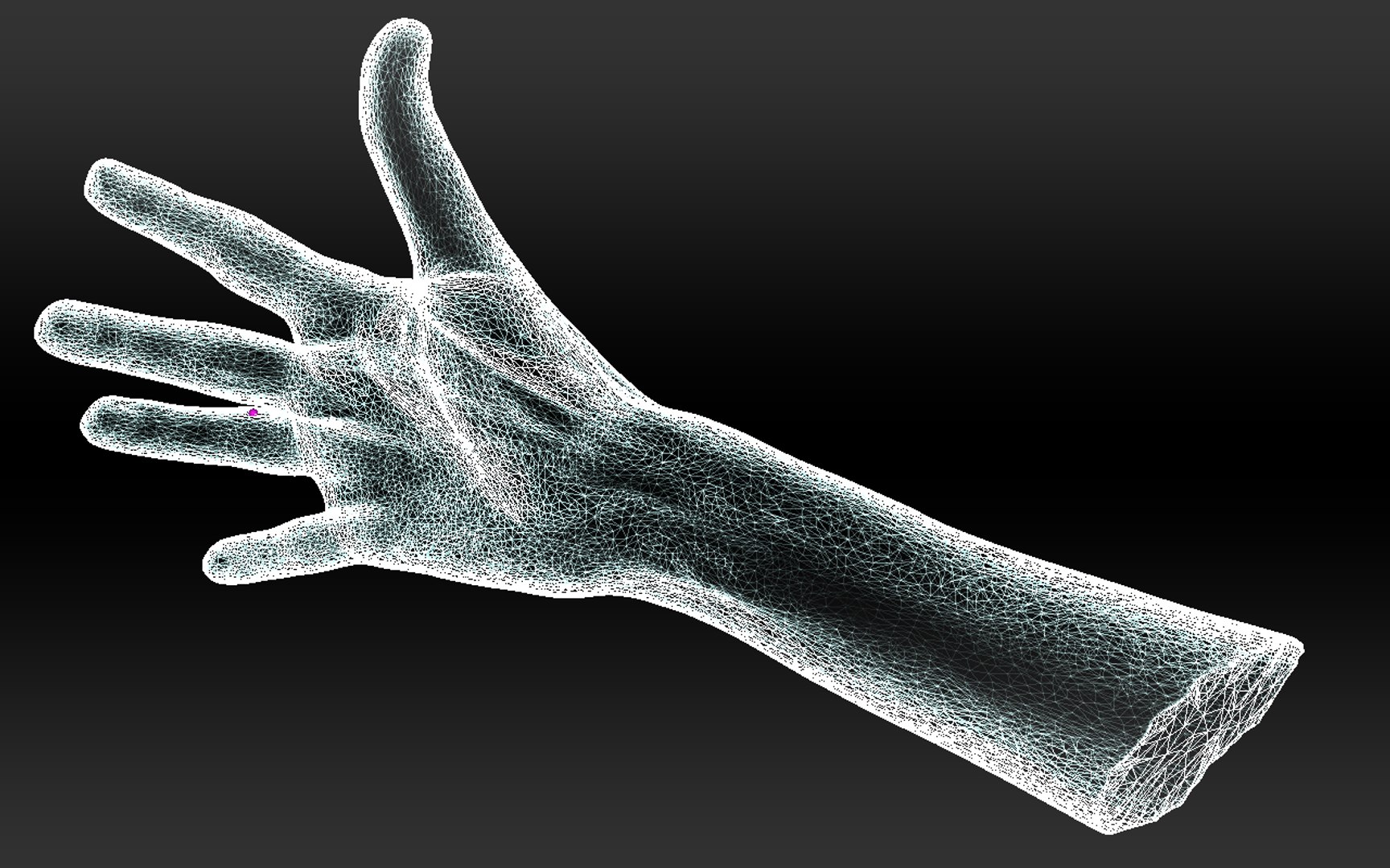 3D Human Hand 3D Scan High Quality Model - TurboSquid 1784067