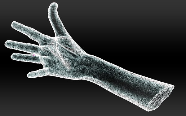 3D Human Hand 3D Scan High Quality model - TurboSquid 1784067