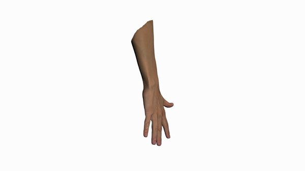 3D Human Hand 3D Scan High Quality model - TurboSquid 1784067