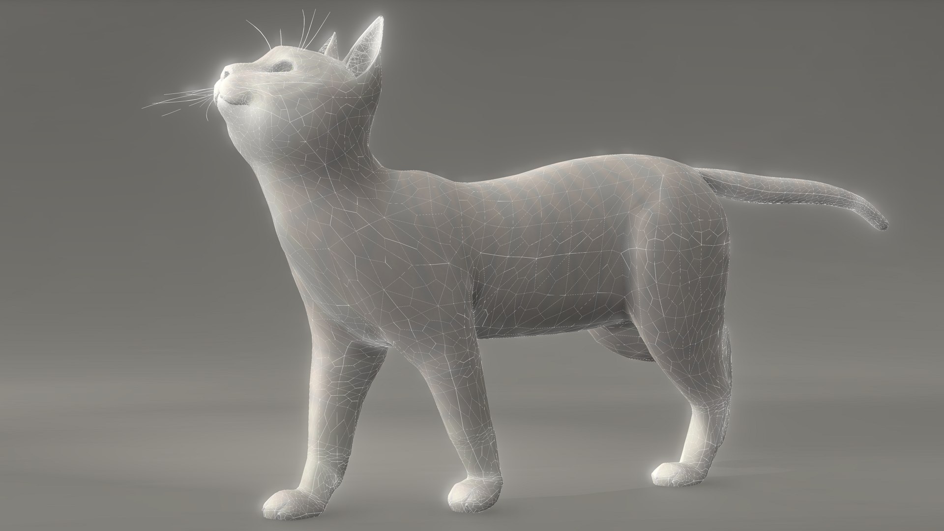 3D Cat - Rigged Low-poly 3D Model Model - TurboSquid 1755023