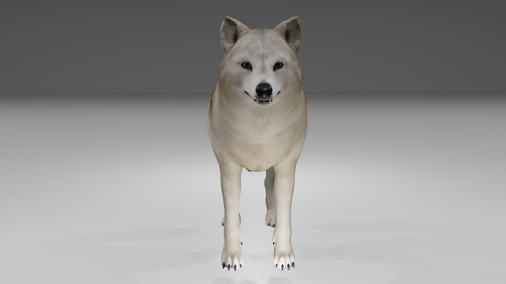 Wolf 3D - TurboSquid 2376967