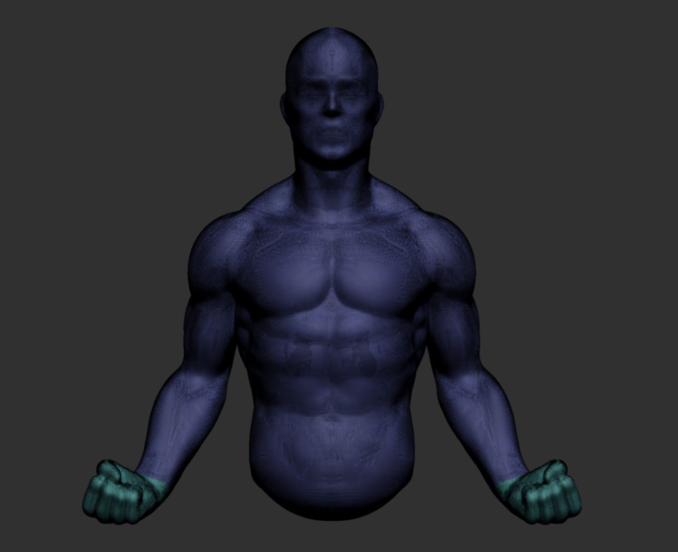 3d model male upper body