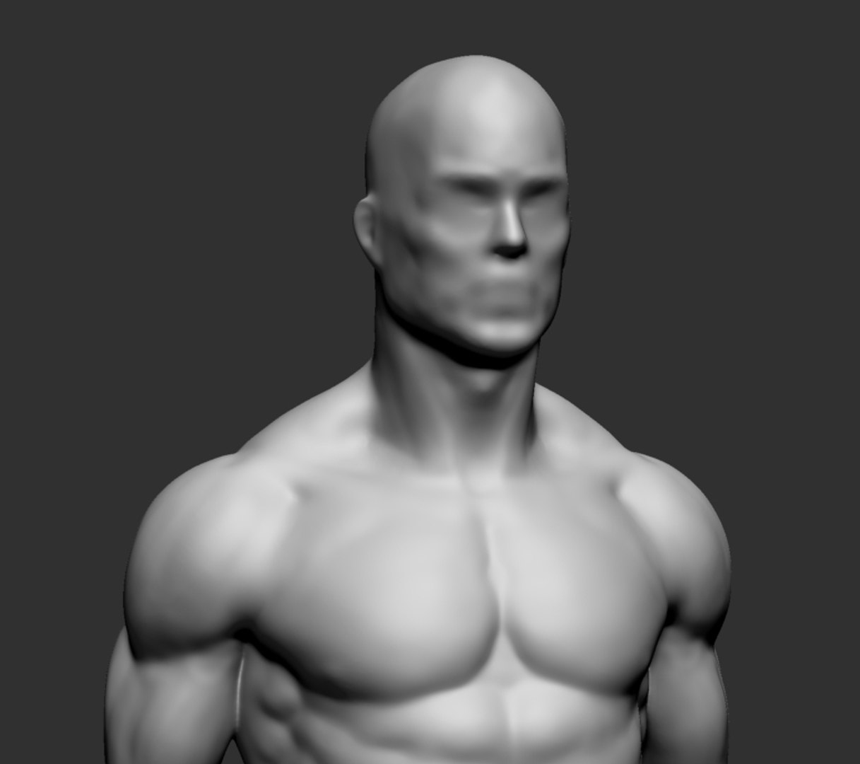 3d model male upper body
