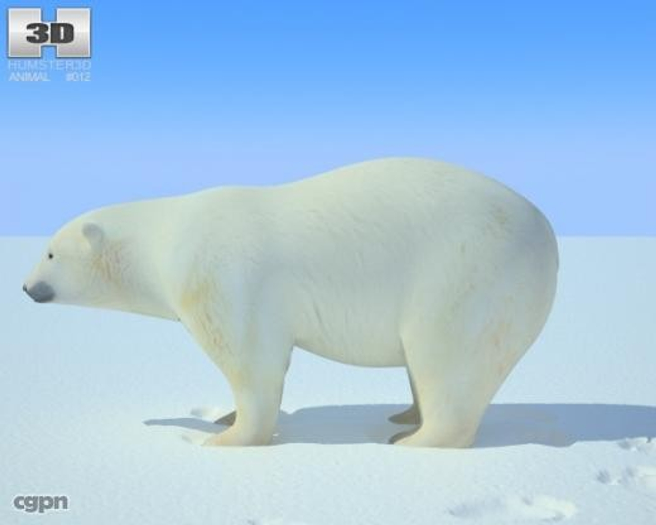 3d model polar bear
