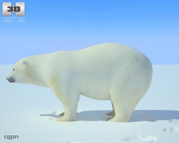 3d model polar bear