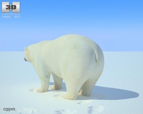 3d model polar bear