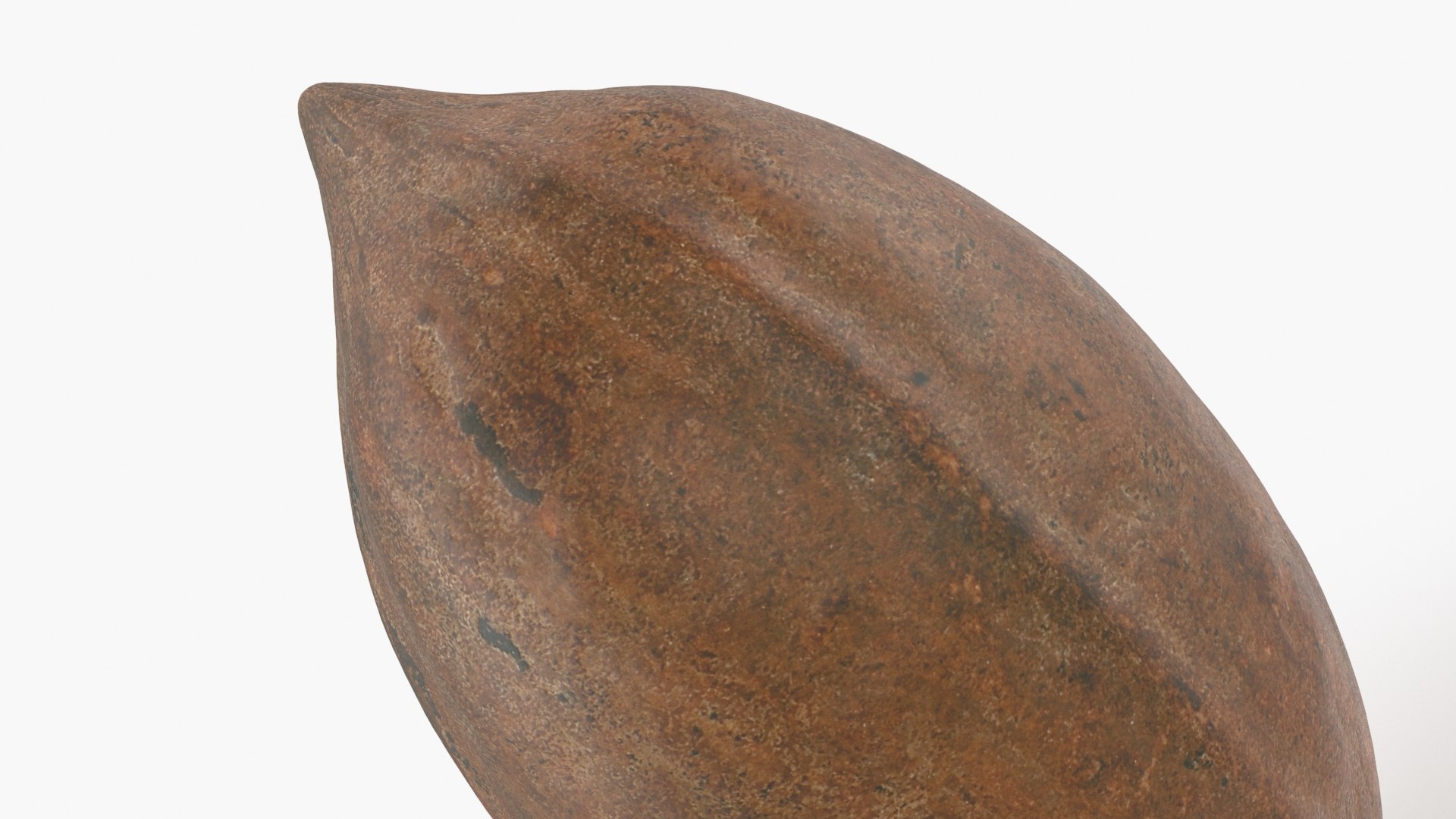 Pecan Shell 05 3D - TurboSquid 2023929