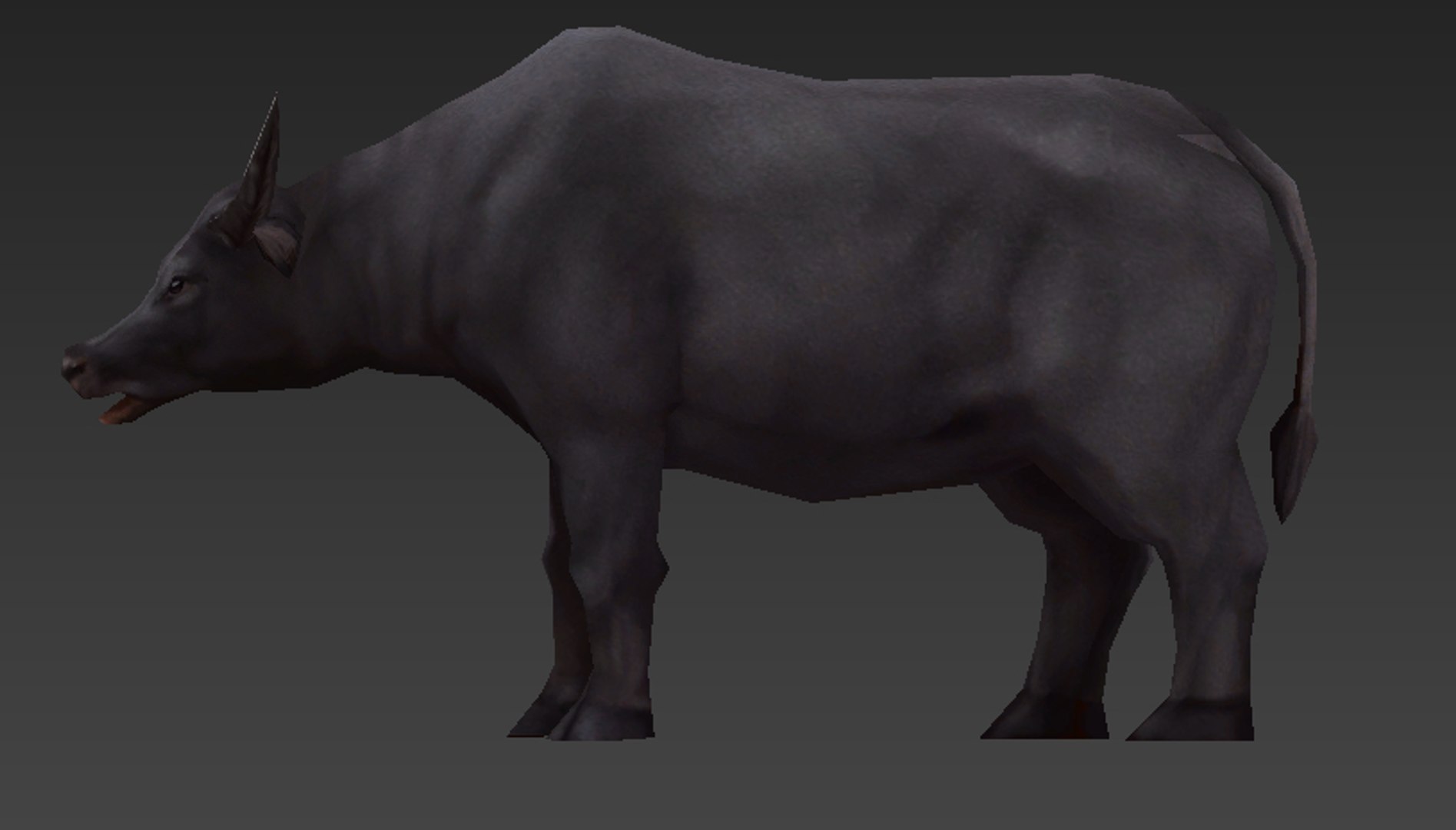Cattle 3D Model - TurboSquid 1532545