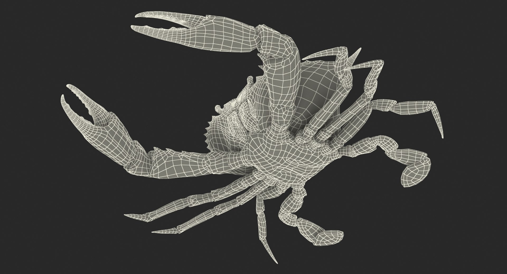 3D Atlantic Blue Crab Rigged Model - TurboSquid 1502095