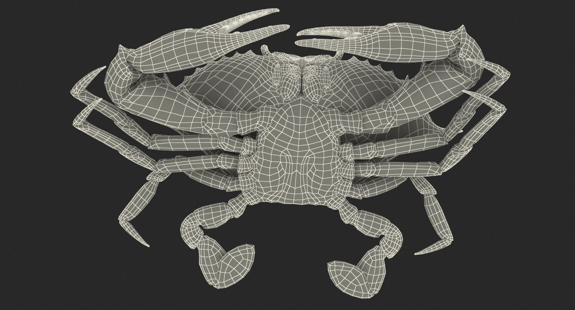 3D Atlantic Blue Crab Rigged Model - TurboSquid 1502095
