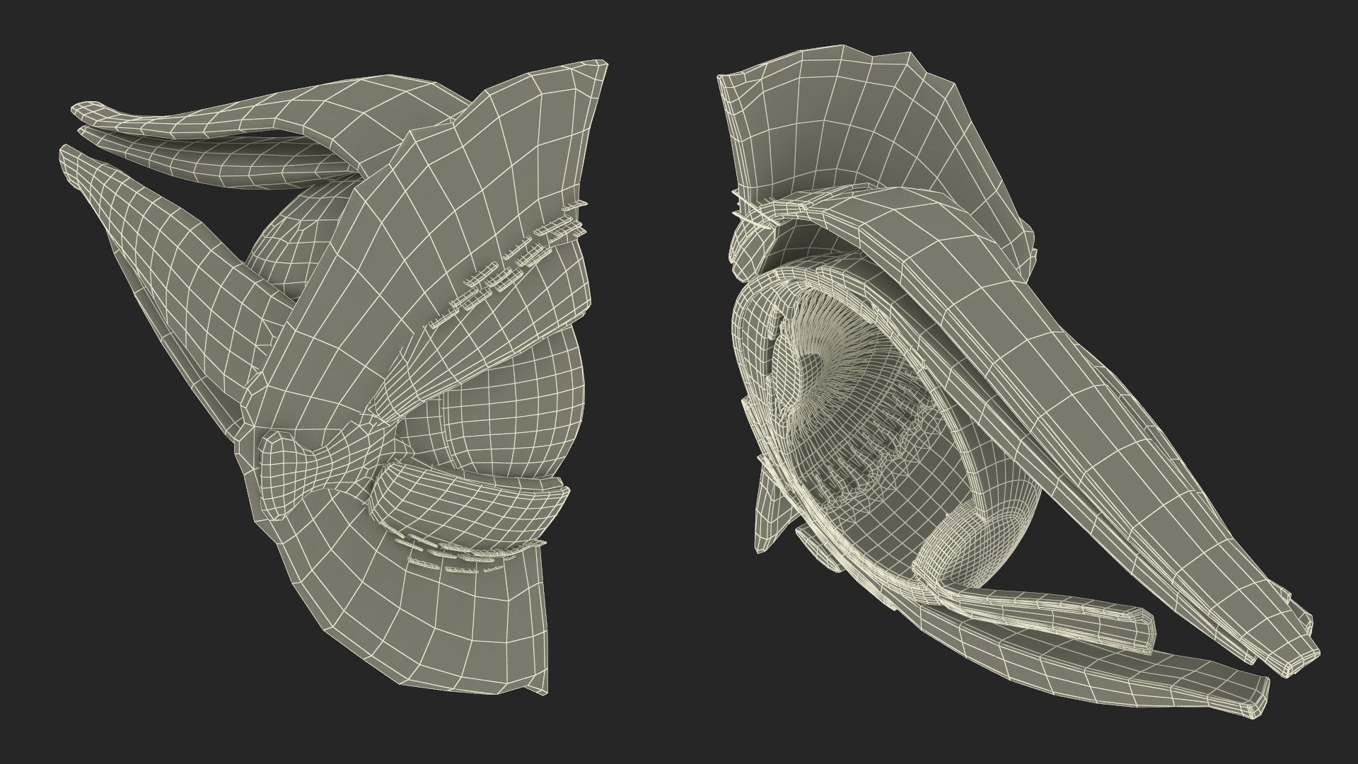 Human Eye Anatomy Cross Section 3D - TurboSquid 2385612