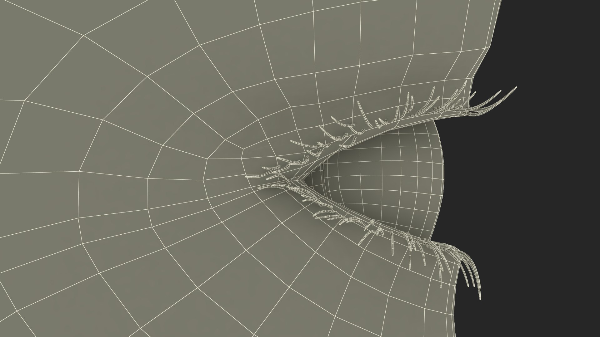 Human Eye Anatomy Cross Section 3D - TurboSquid 2385612