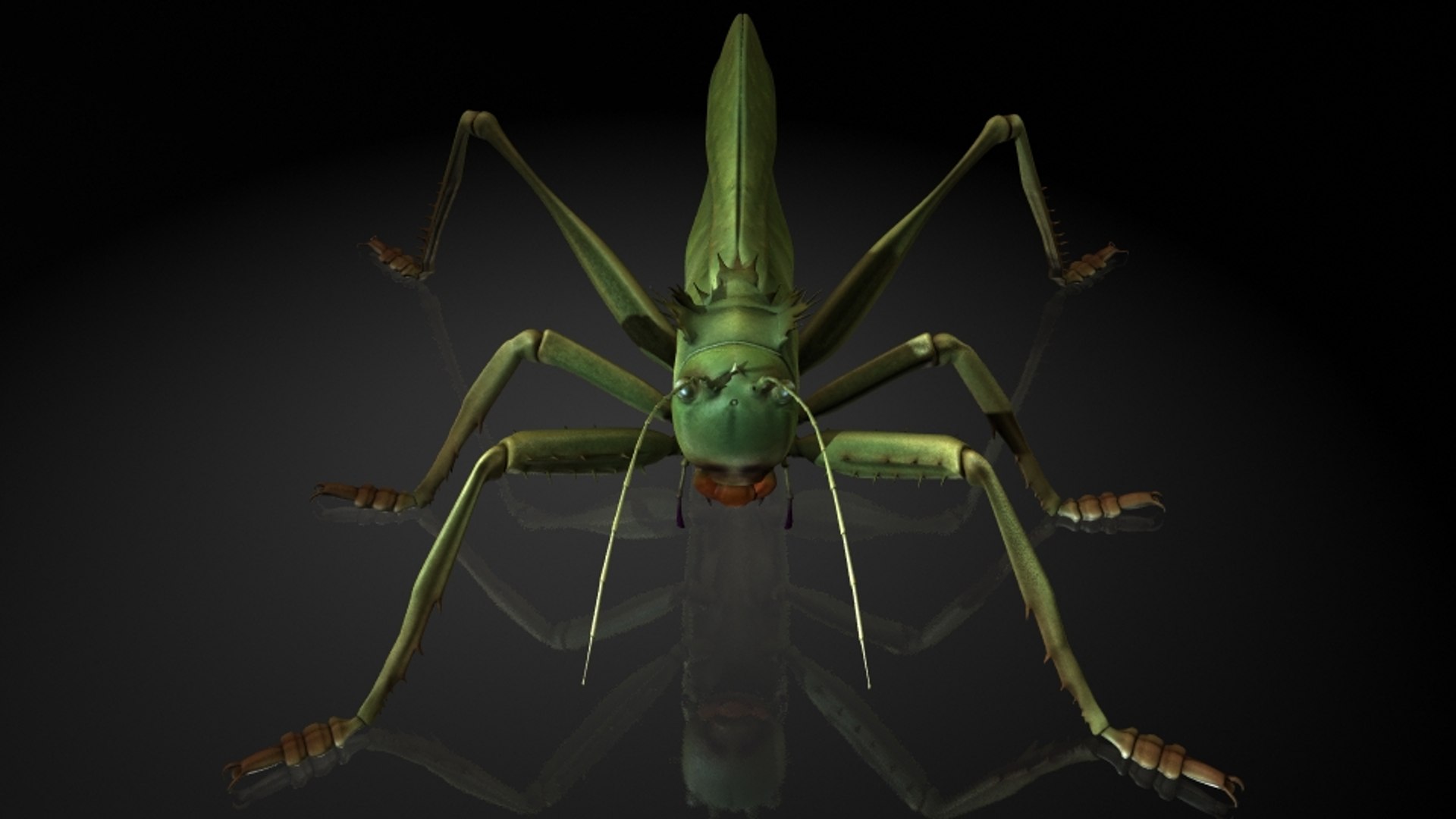 3D Cricket Insects - TurboSquid 1313894