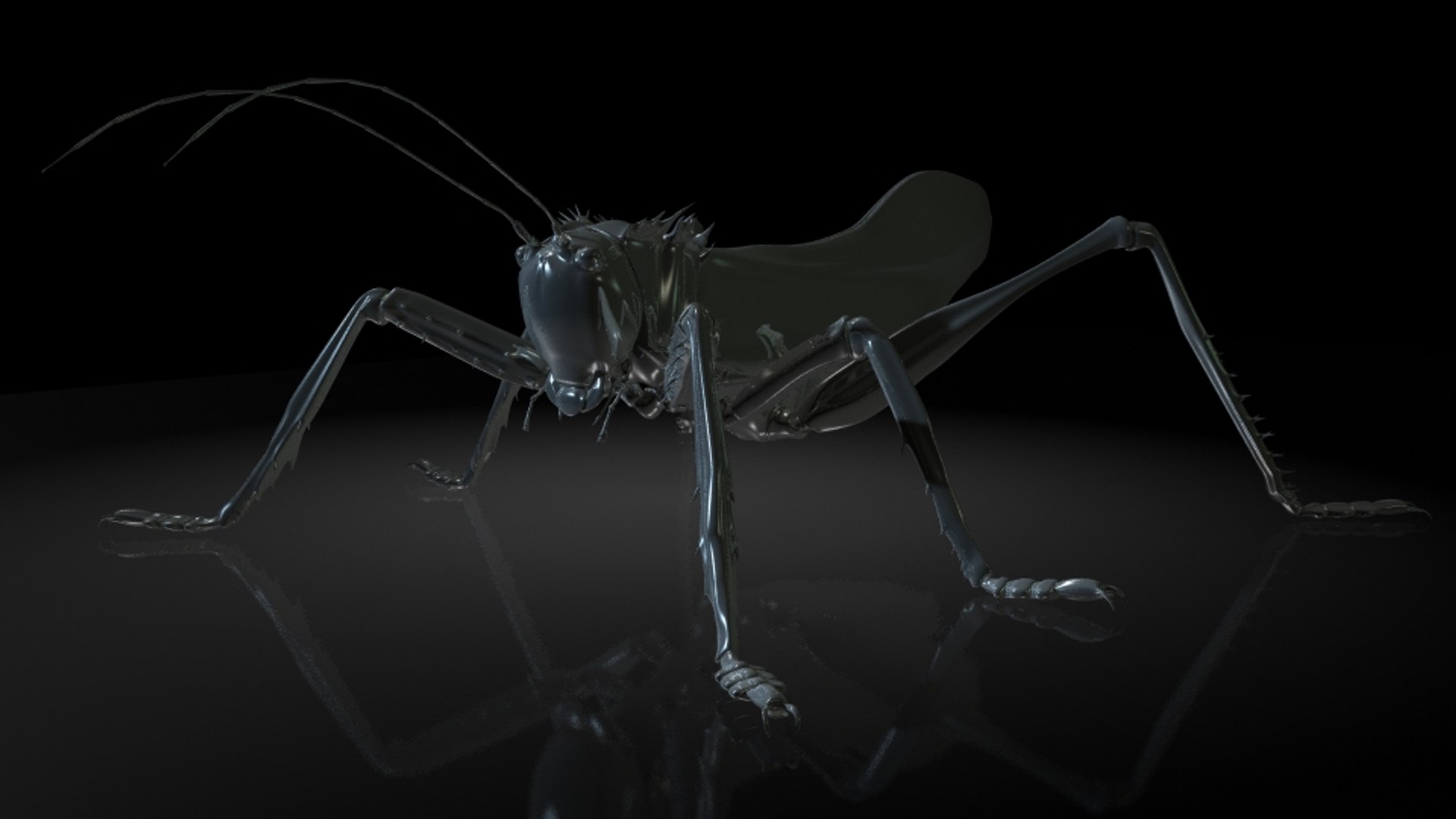 3D Cricket Insects - TurboSquid 1313894