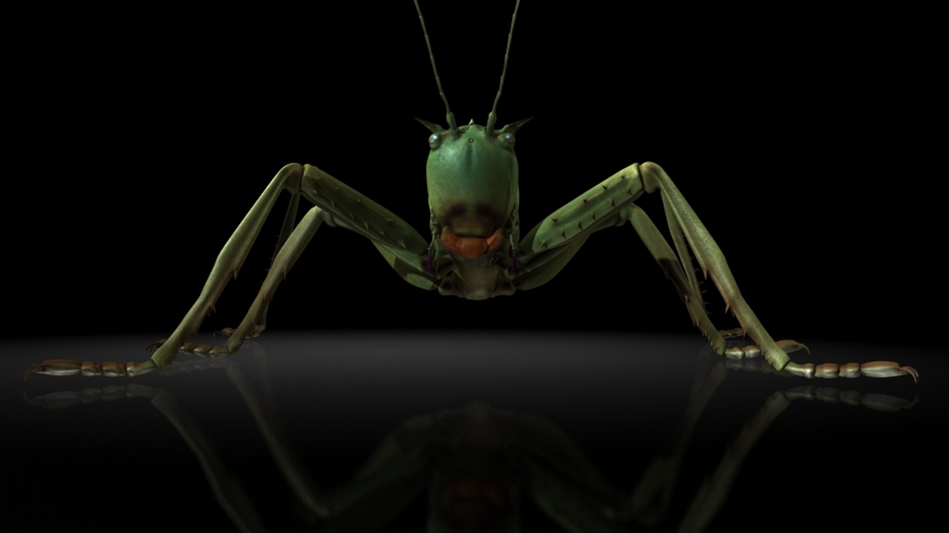 3D Cricket Insects - TurboSquid 1313894