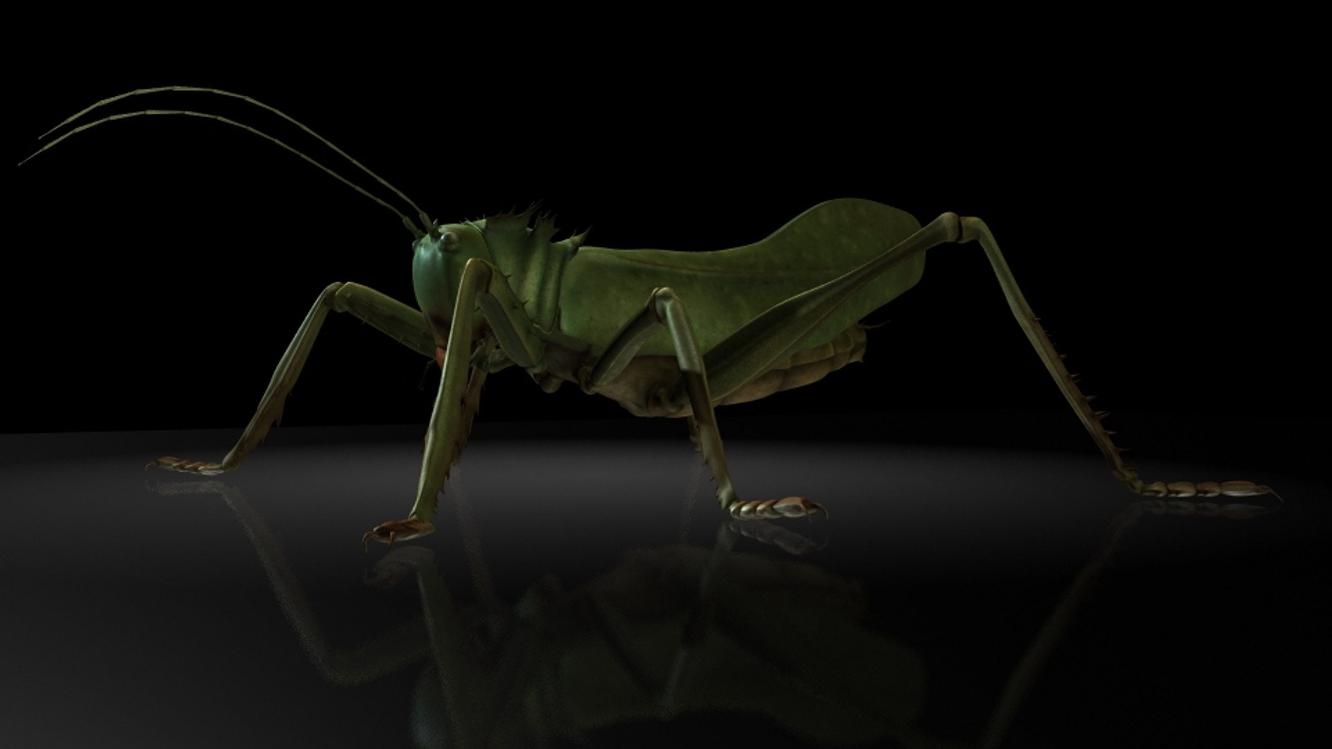 3D Cricket Insects - TurboSquid 1313894