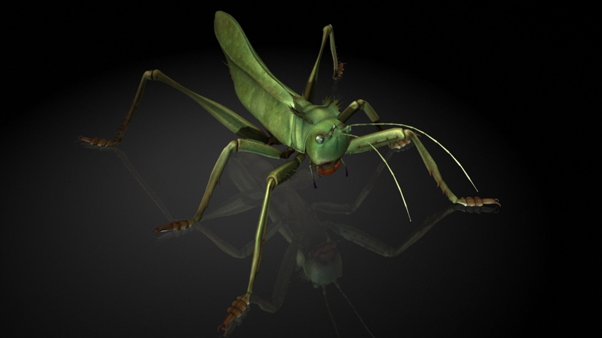 3D Cricket Insects - TurboSquid 1313894