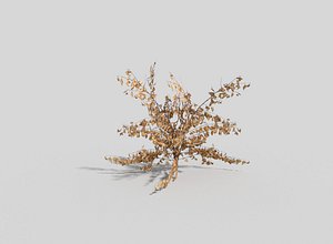 3d model plants