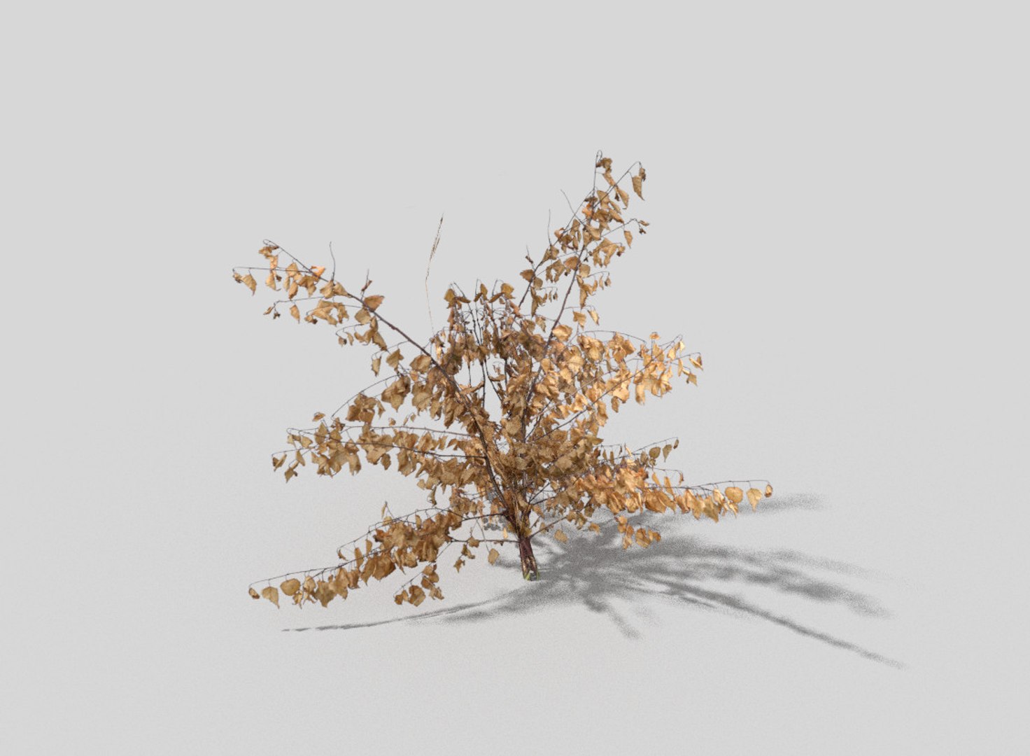 shrub games 3ds