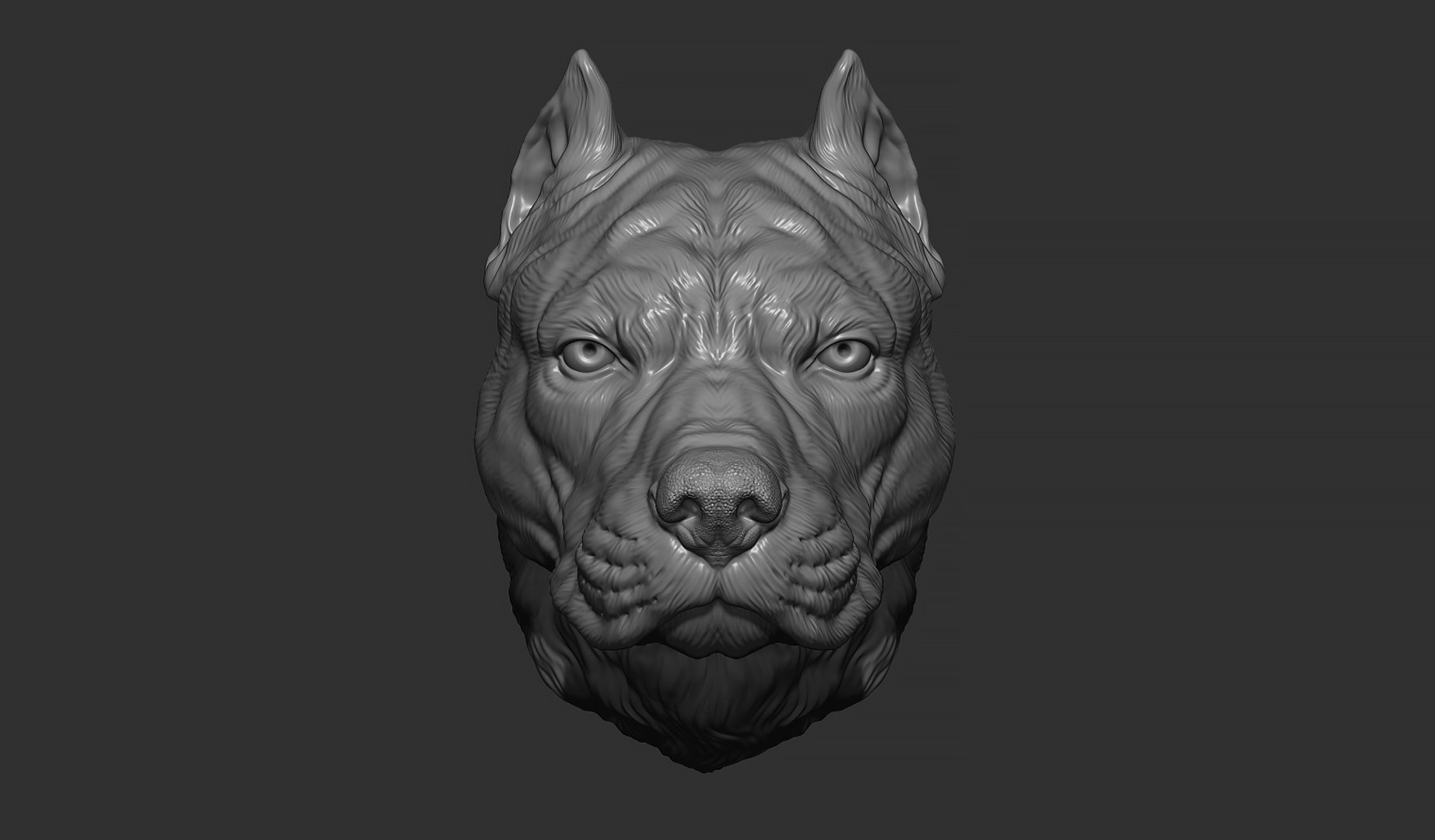 3D Model Pitbull Gloomy Head - TurboSquid 1895202