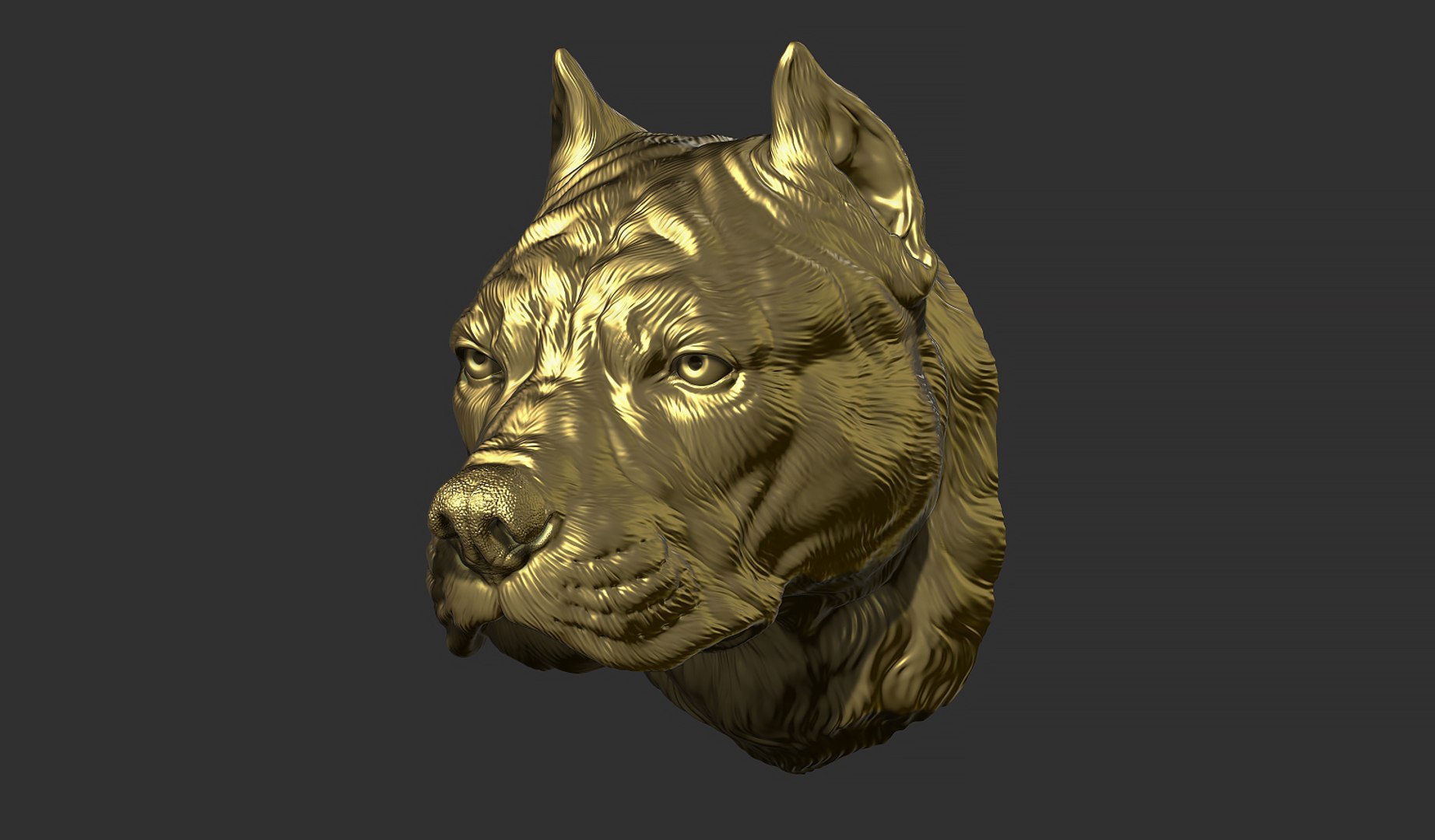 3D Model Pitbull Gloomy Head - TurboSquid 1895202