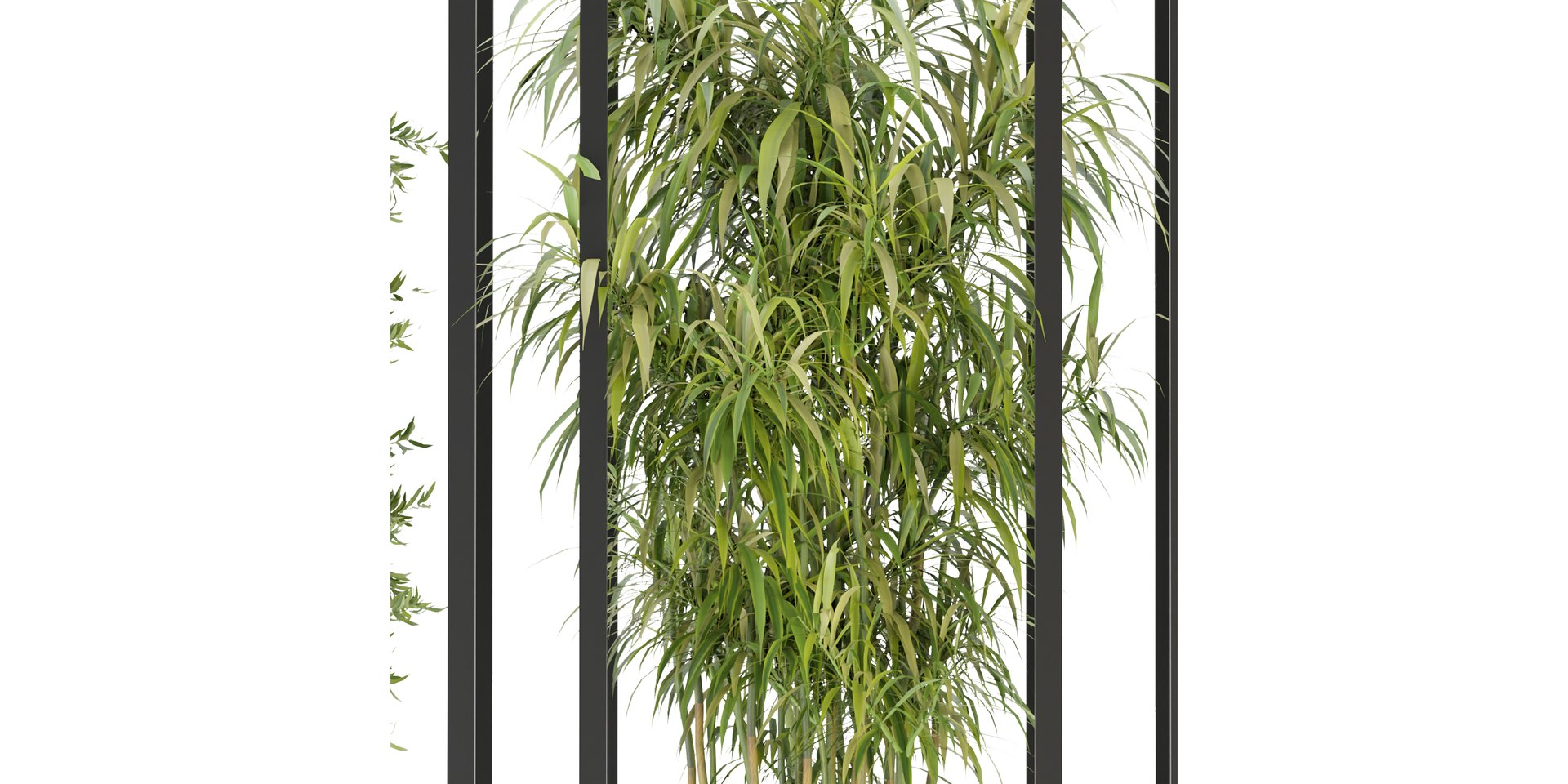 3D Collection plant vol 237 - blender model model - TurboSquid 2087078