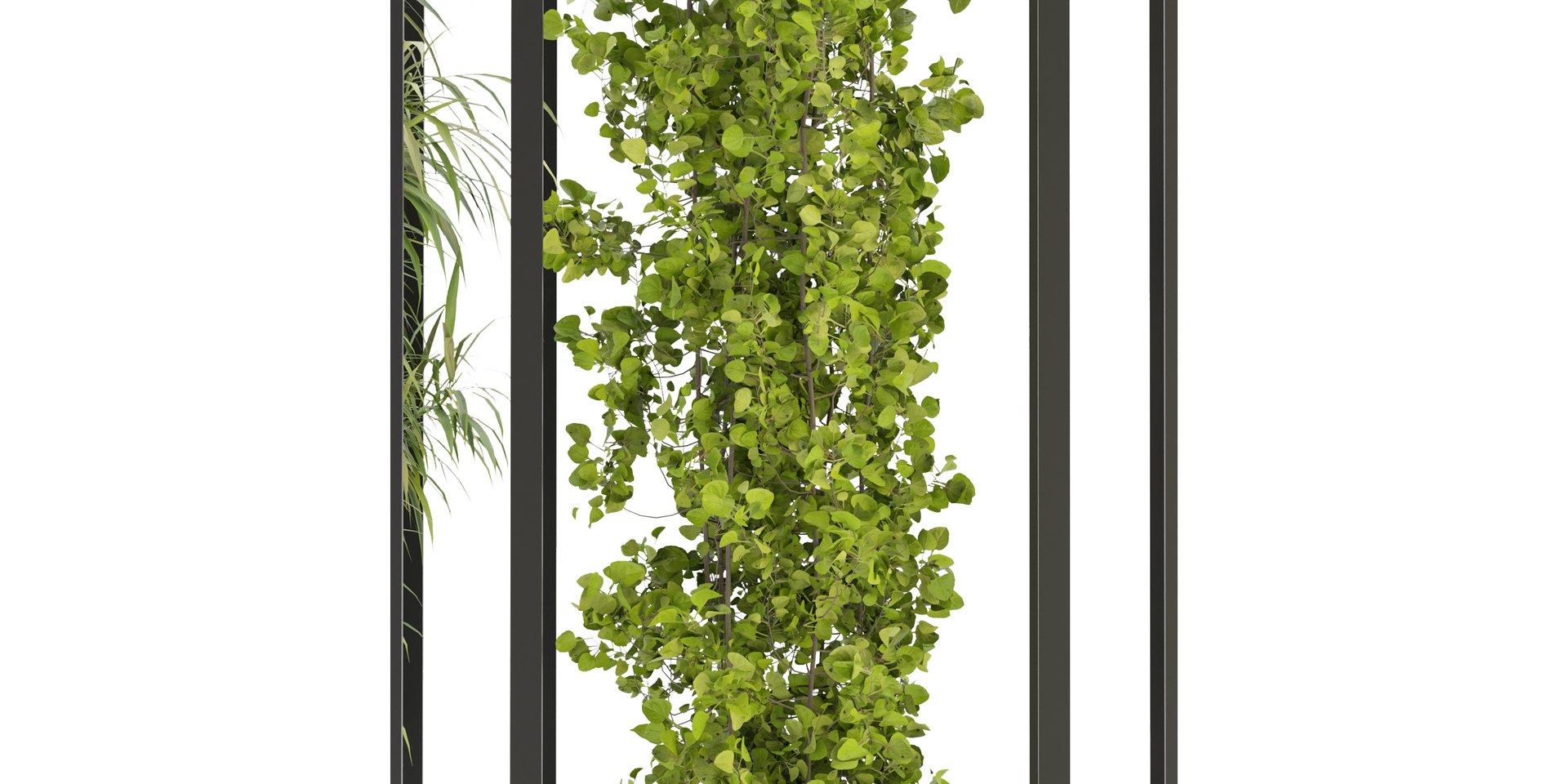 3D Collection plant vol 237 - blender model model - TurboSquid 2087078