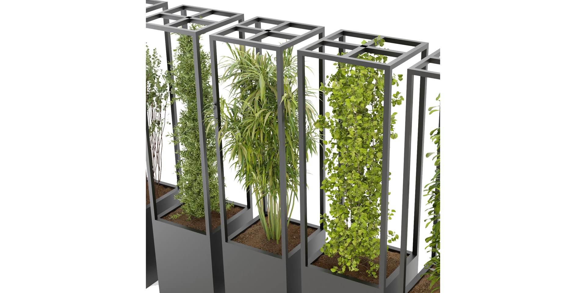 3D Collection plant vol 237 - blender model model - TurboSquid 2087078